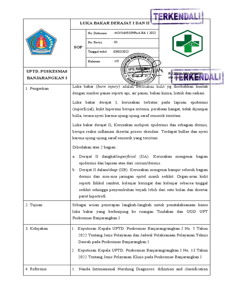 SOP Combustio 2022 | PDF