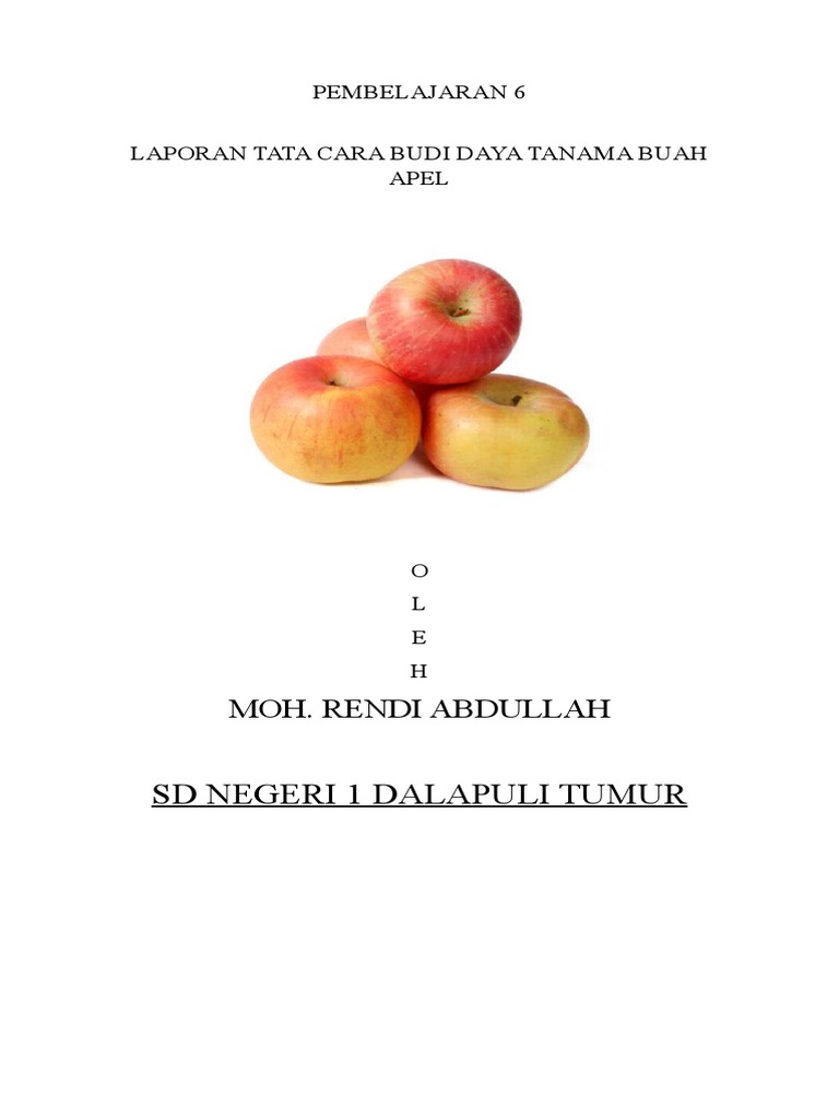 Cara Budidaya Tanaman Apel | PDF