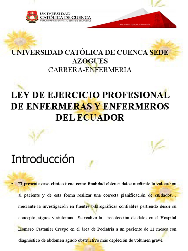 Ley de Ejercicio Profesional de Enfermeras y Enfermeros Del Ecuador | PDF