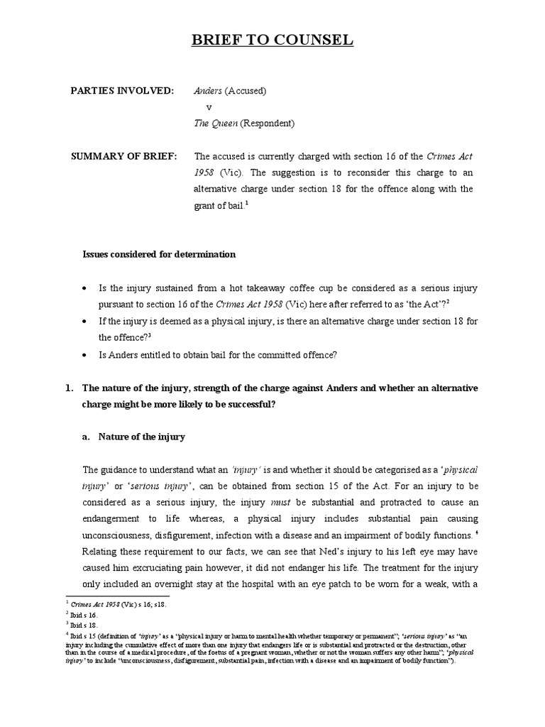 Brief To Counsel | PDF | Law
