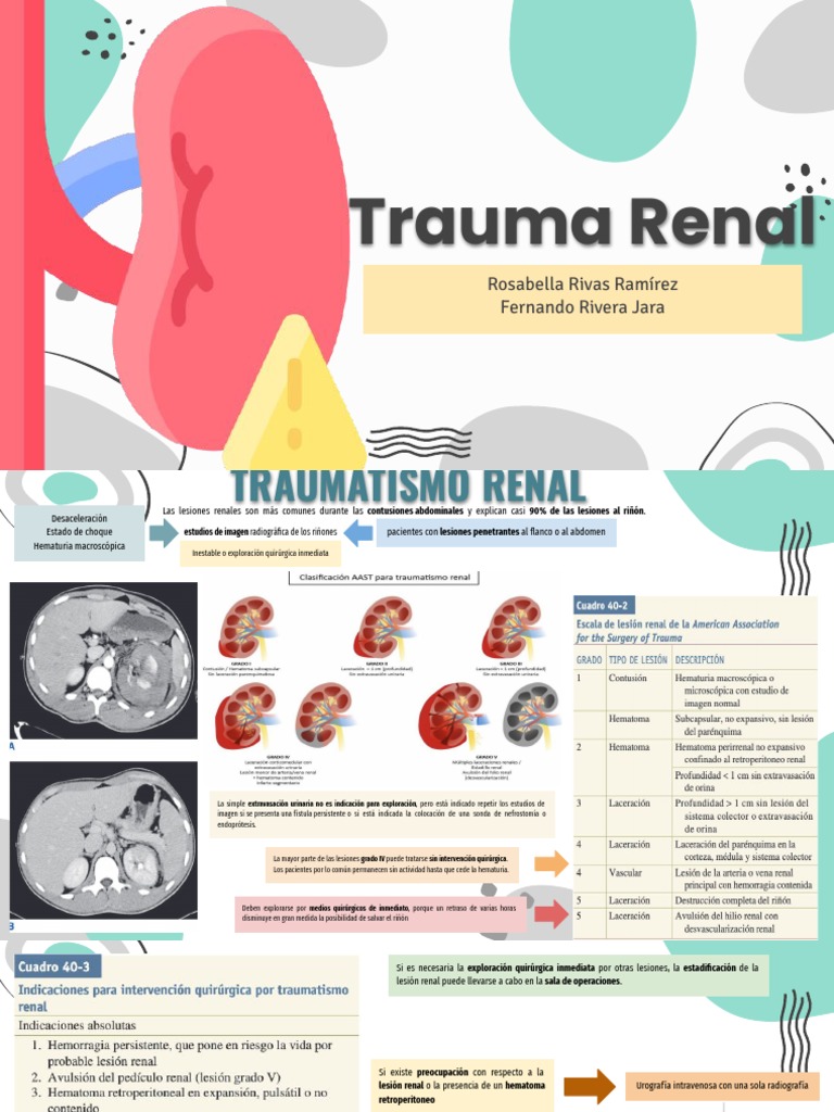 Trauma Renal | PDF