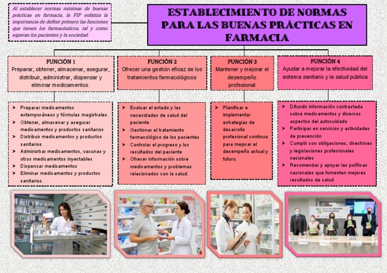Establecimiento de Normas para Las Buenas Prácticas en Farmacia | PDF