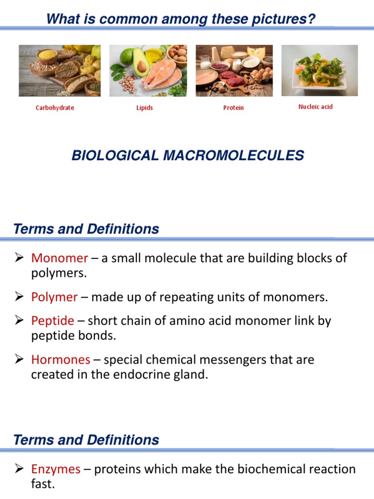 Macromolecules Enzymes | PDF