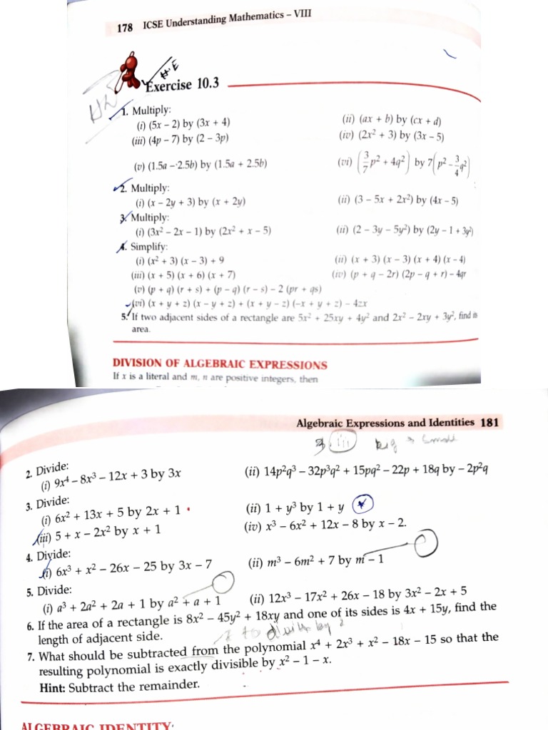 Algebraic Expressions | PDF