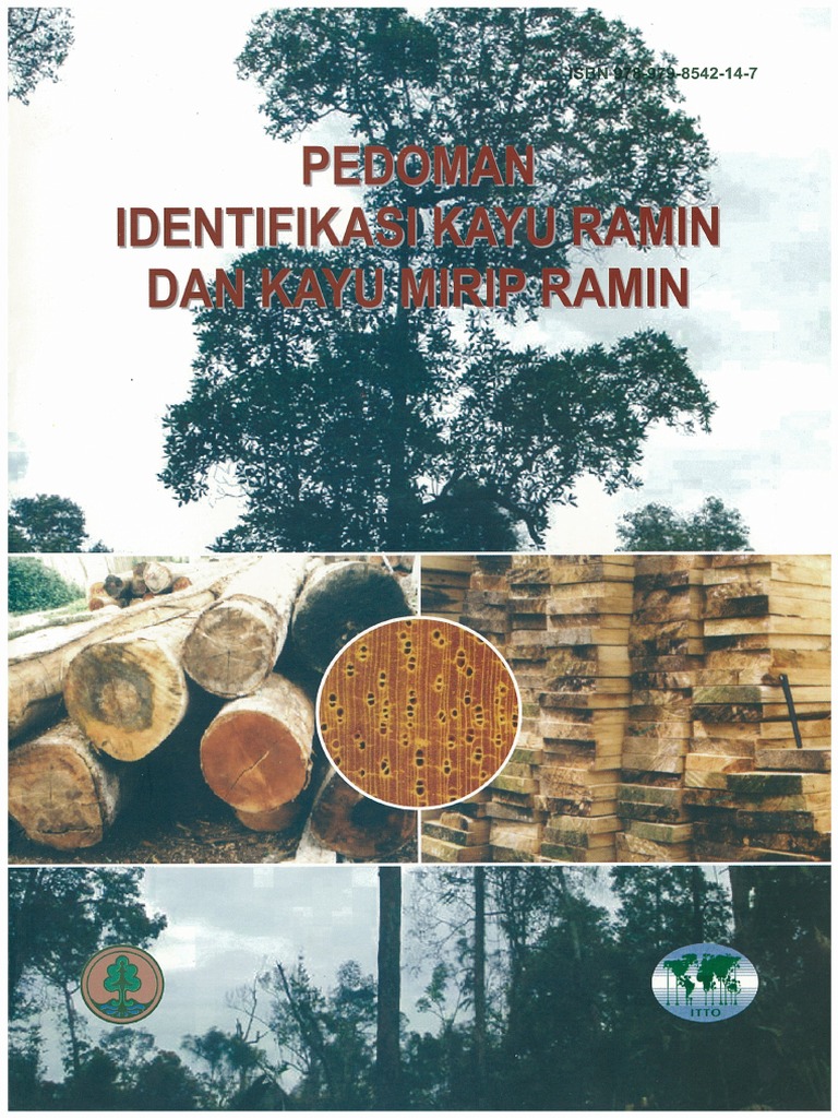 Pedoman Identifikasi Kayu Ramin | PDF