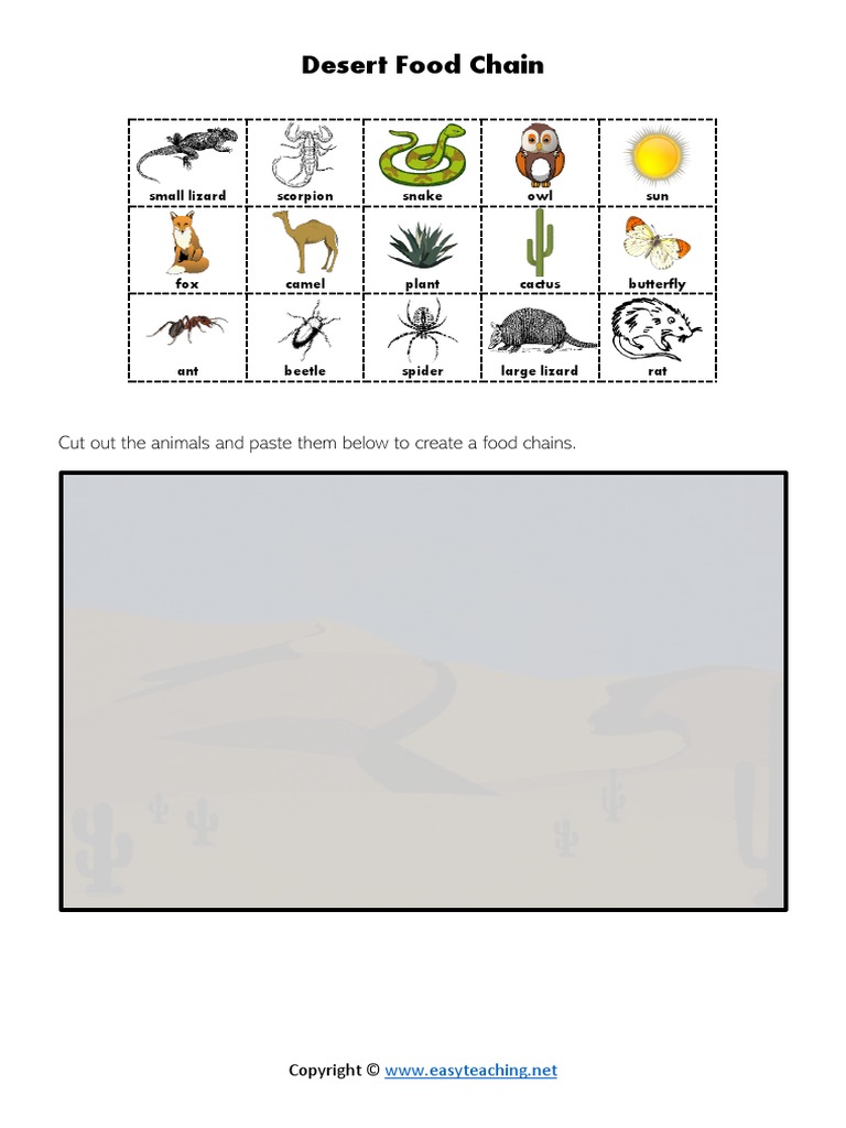 Desert Food Chain: Cut Out The Animals and Paste Them Below To Create A ...