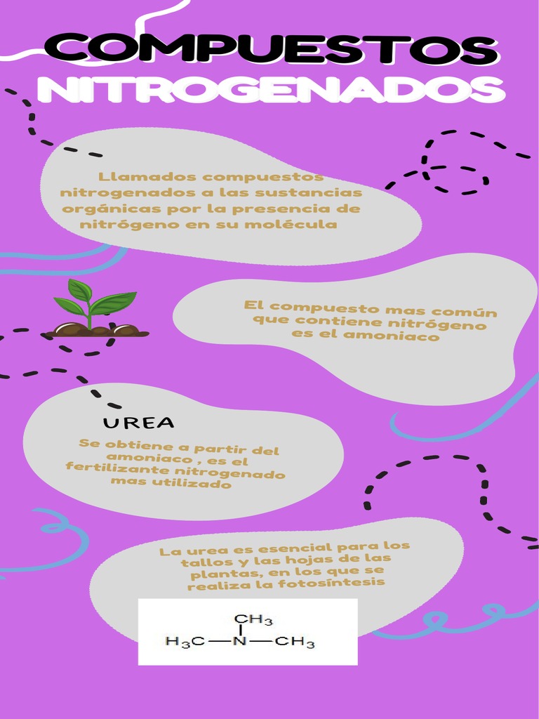 Compu Estos | PDF | Amida | Amina