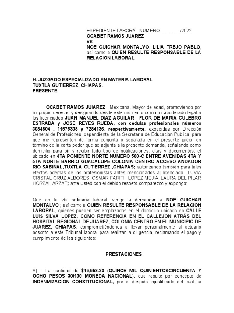 Formato de Demanda | PDF | Salario | Demanda judicial