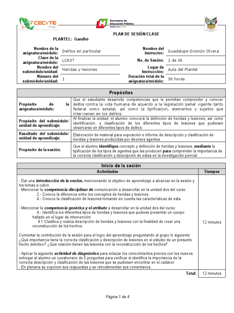 Ejemplo de Plan de Sesión | PDF | Evaluación | Aprendizaje