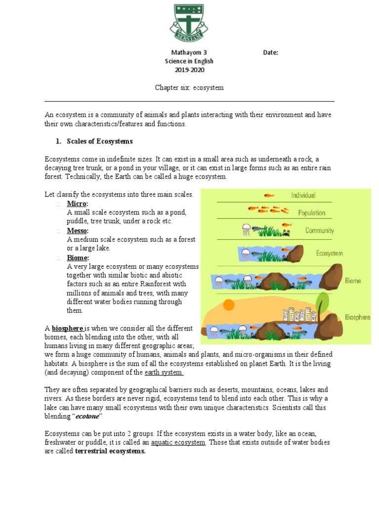 Scales of Ecosystems: Mathayom 3 Date: Science in English 2019-2020 | PDF