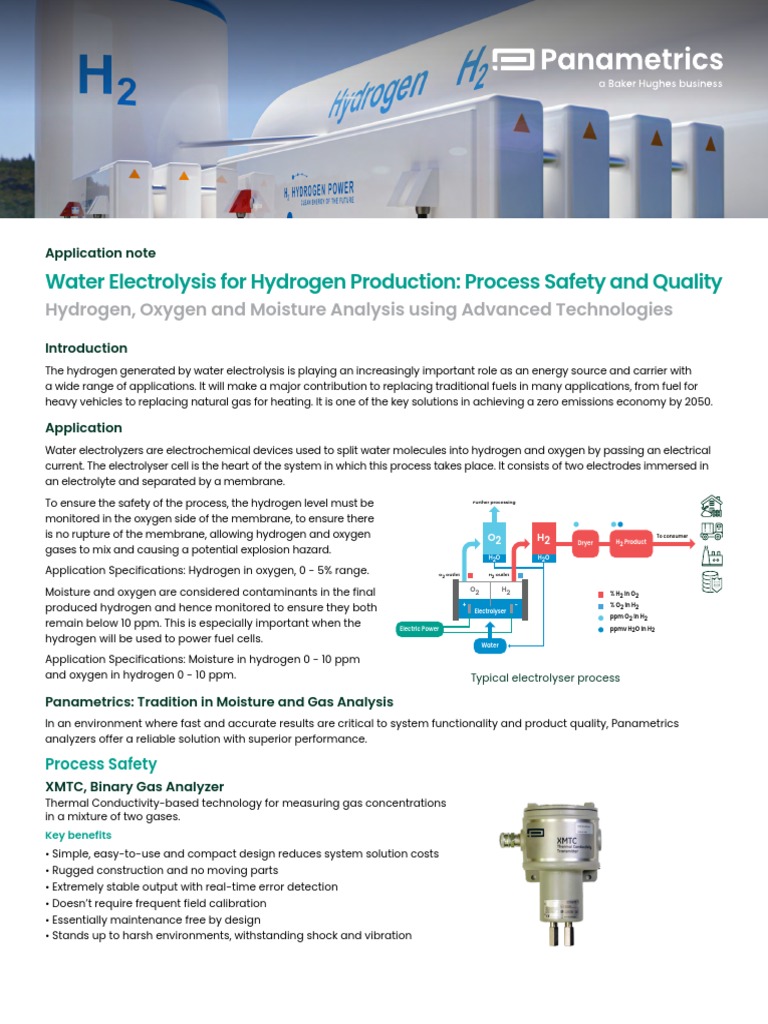 Panametrics - O2 Analyser-Flowmeter | PDF | Hydrogen | Energy Technology
