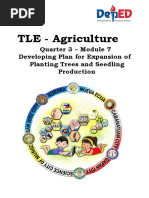 Method of Layout Orchard | PDF | Plants | Trees