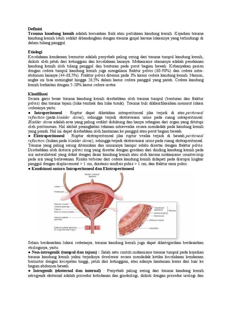 Trauma Kandung Kemih: Penyebab, Klasifikasi, dan Penanganan | PDF ...