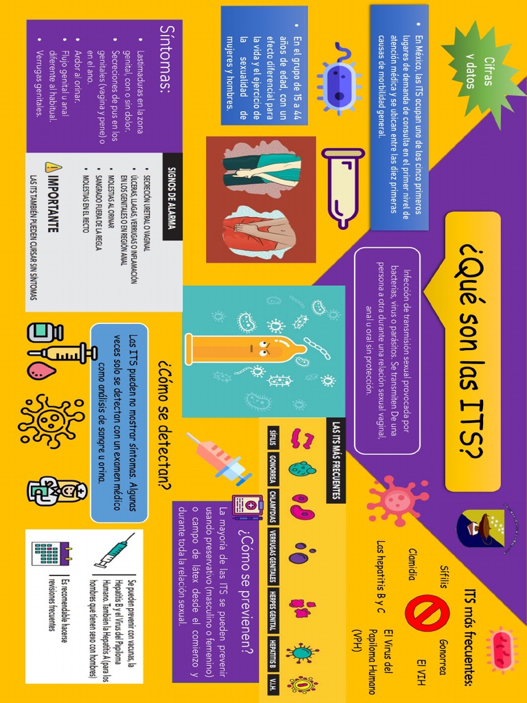 Its Infografia Apuntes 4_Versión Solo de Imagen | PDF