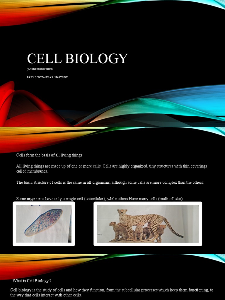 Cell Biology | PDF | Microscope | Cell Cycle