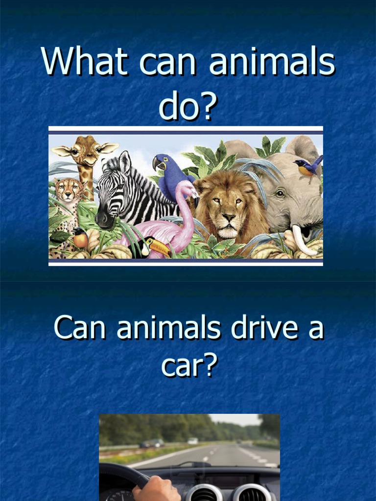 What Can Animals Do | PDF