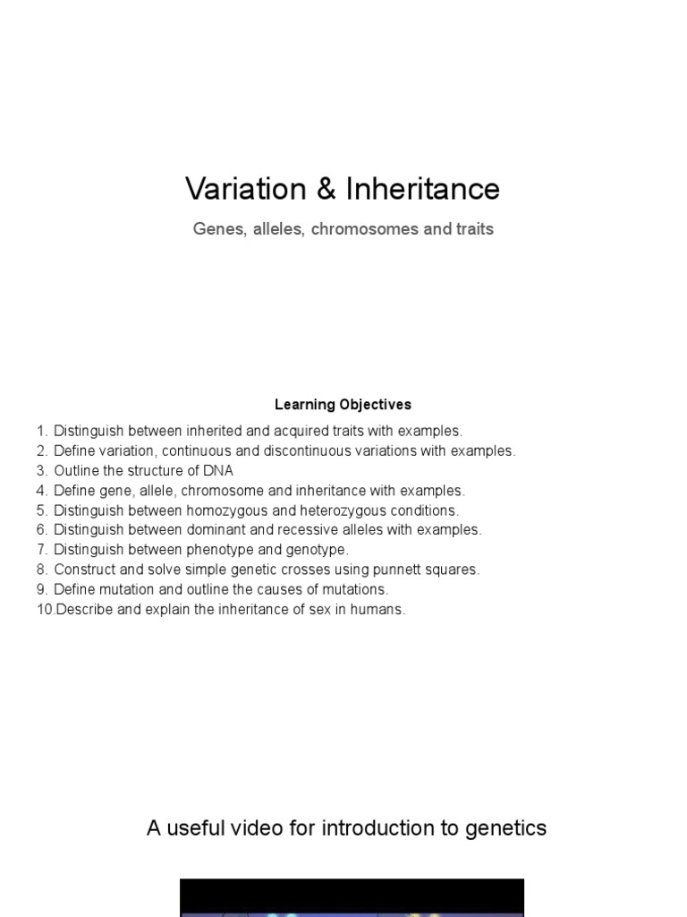 Biology Grade 8 - Variation & Inheritance | PDF | Genotype | Dominance (Genetics)