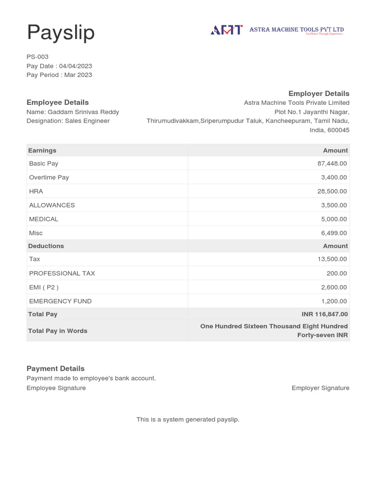 Payslip | PDF