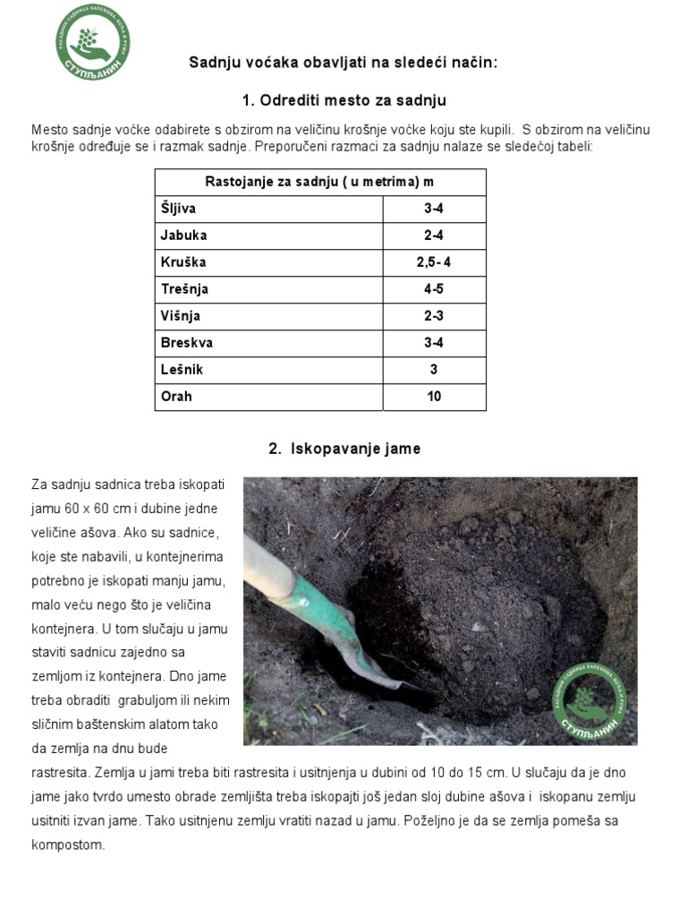 Uputstvo Za Sadnju Vocnih Sadnica | PDF