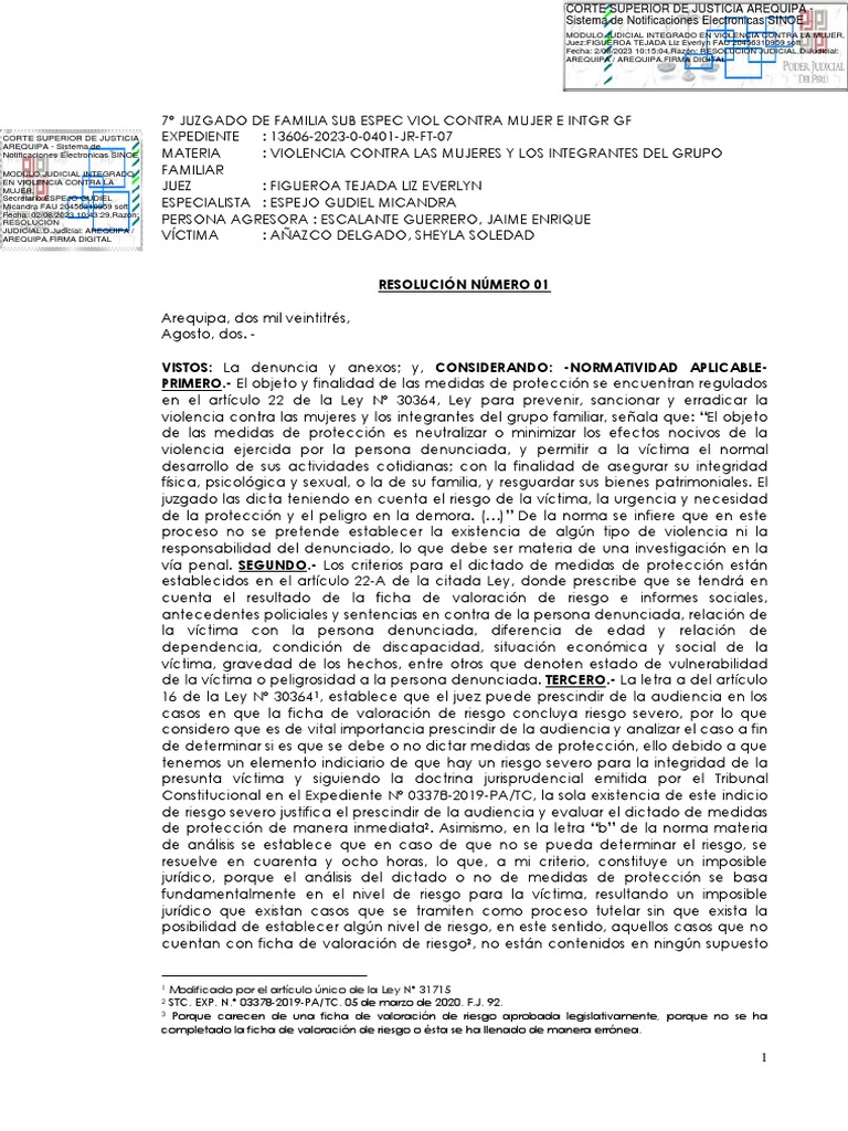 Medidas de Protección en Violencia Familiar | PDF | La violencia contra ...