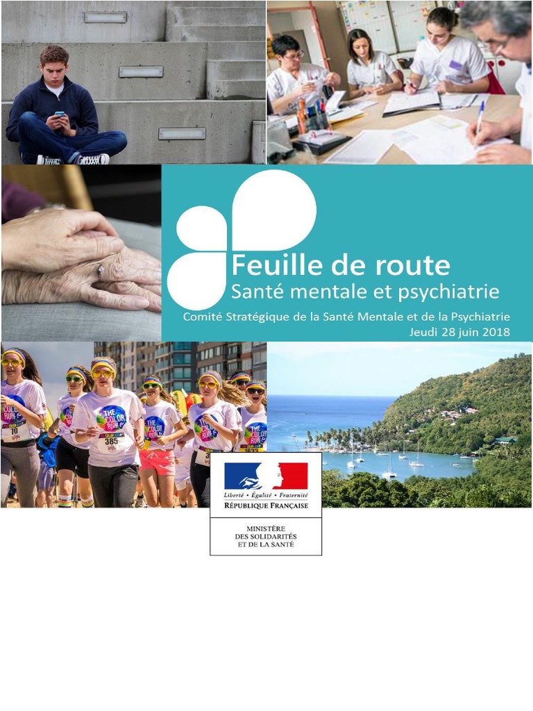 Dossier de Presse - Comite Strategie Sante Mentale | PDF | Santé ...
