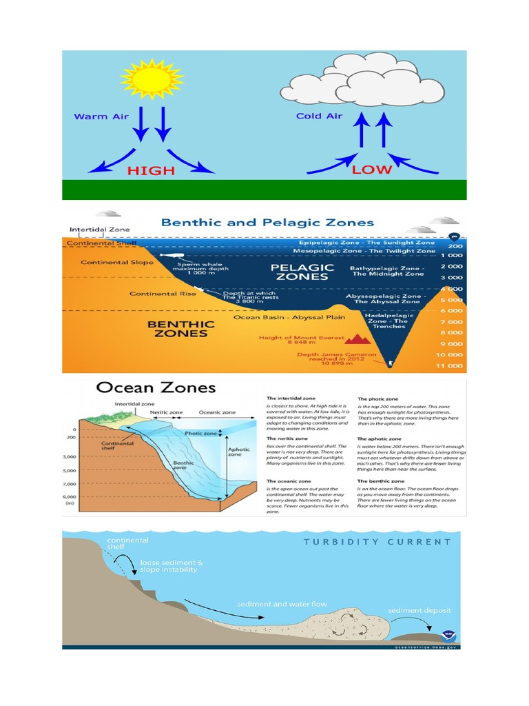 Understanding Ocean Biomes and Zones | PDF