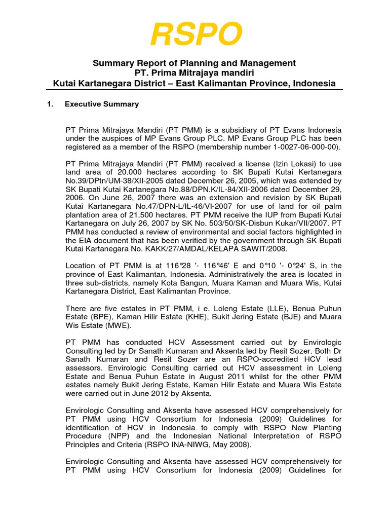 RSPO Management Report for PT PMM | PDF