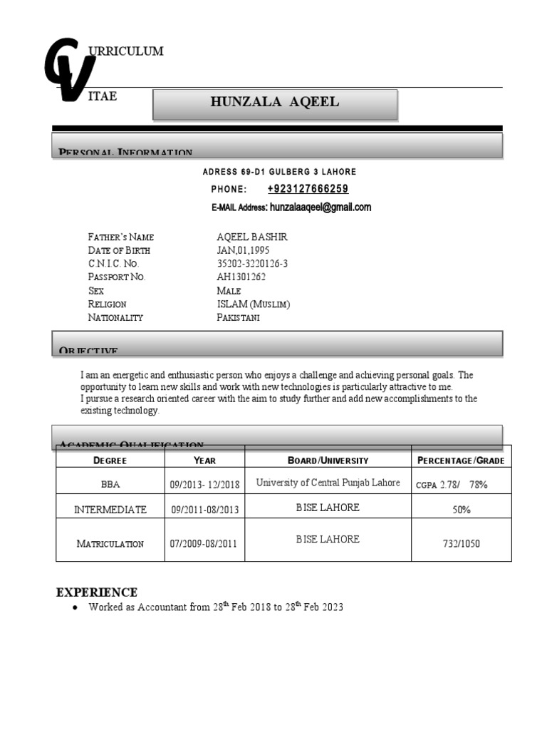 Hunzala CV | PDF | Career & Growth
