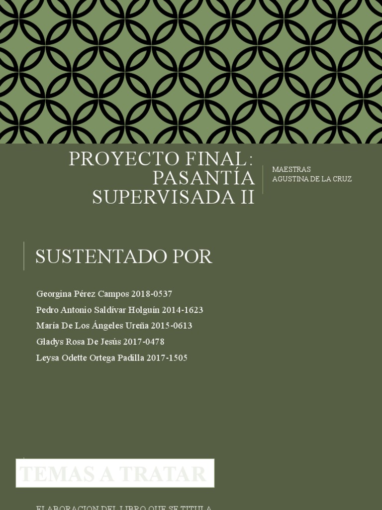 Proyecto Final Pasantia 2 | PDF
