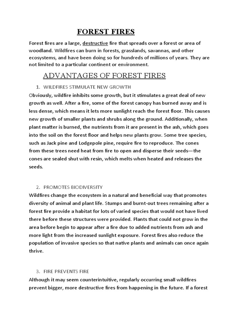 Forest Fires | PDF | Wildfire | Forests
