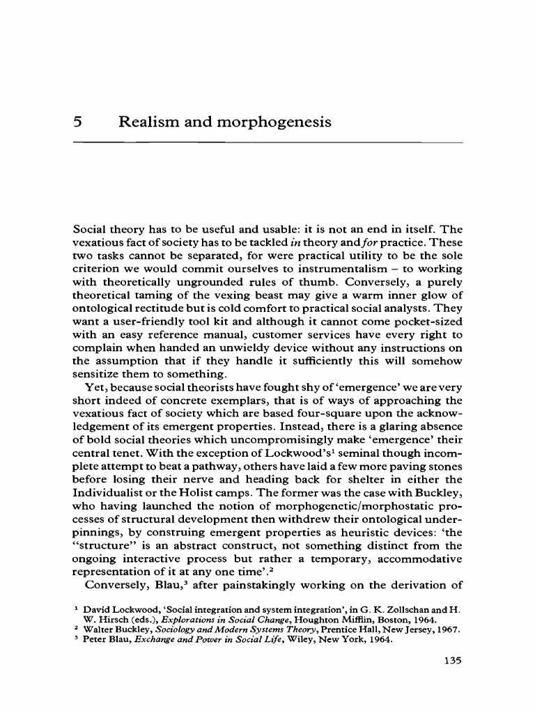 Realism and Morphogenesis in Social Theory | PDF | Social Structure ...