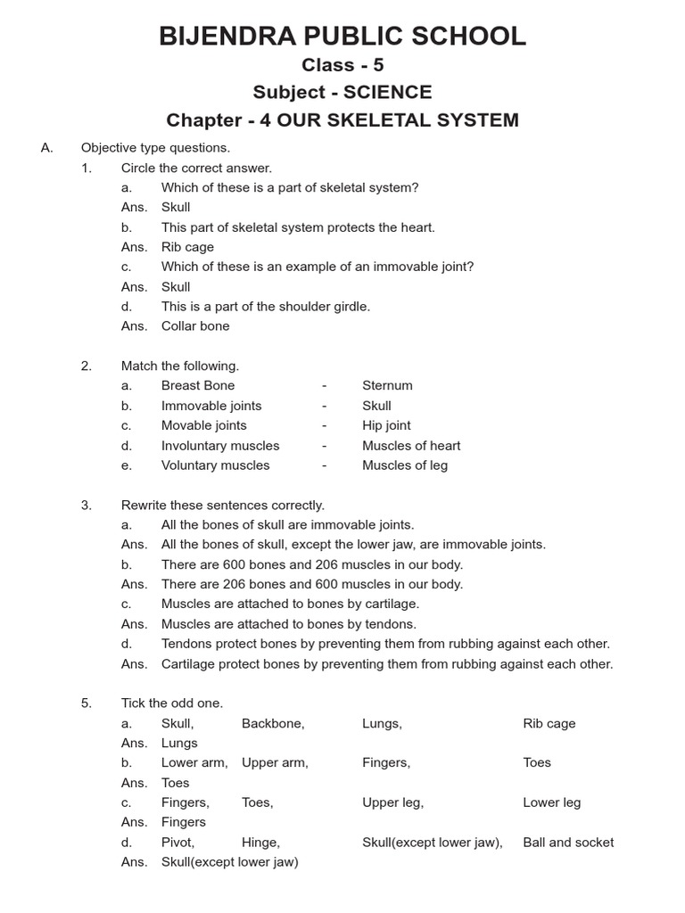 Class 5 Subject Science Chapter 4 Our Skeletal System | PDF
