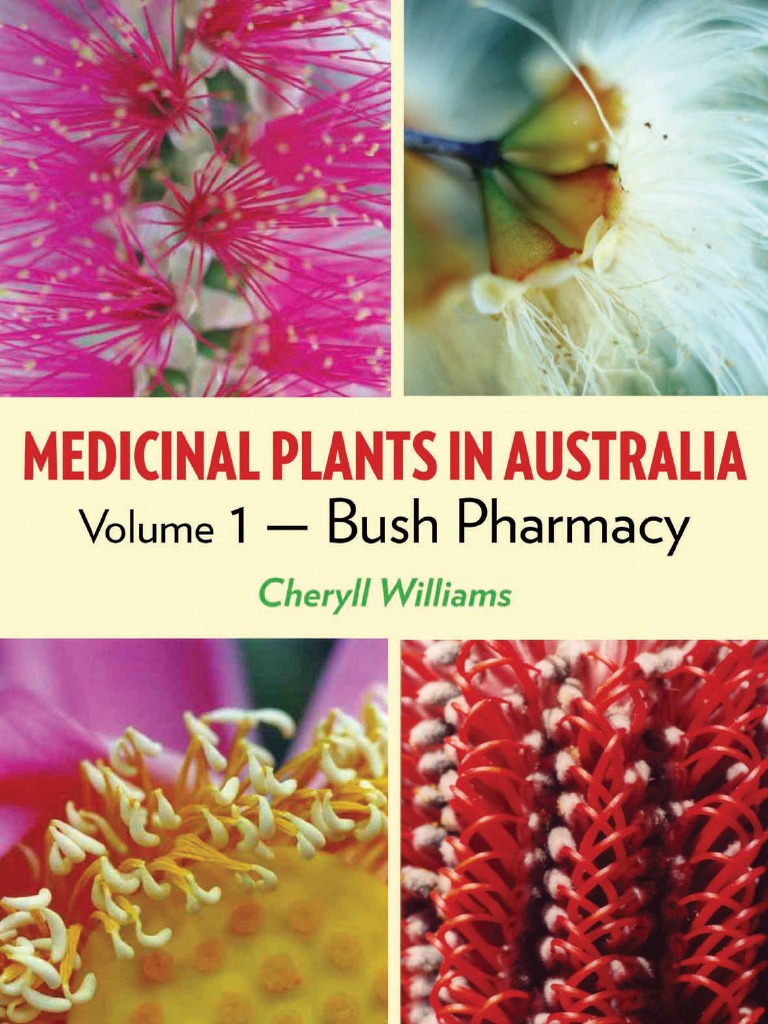 Medicinal Plants in Australia. Volume 1, Bush Pharmacy (PDFDrive) | PDF
