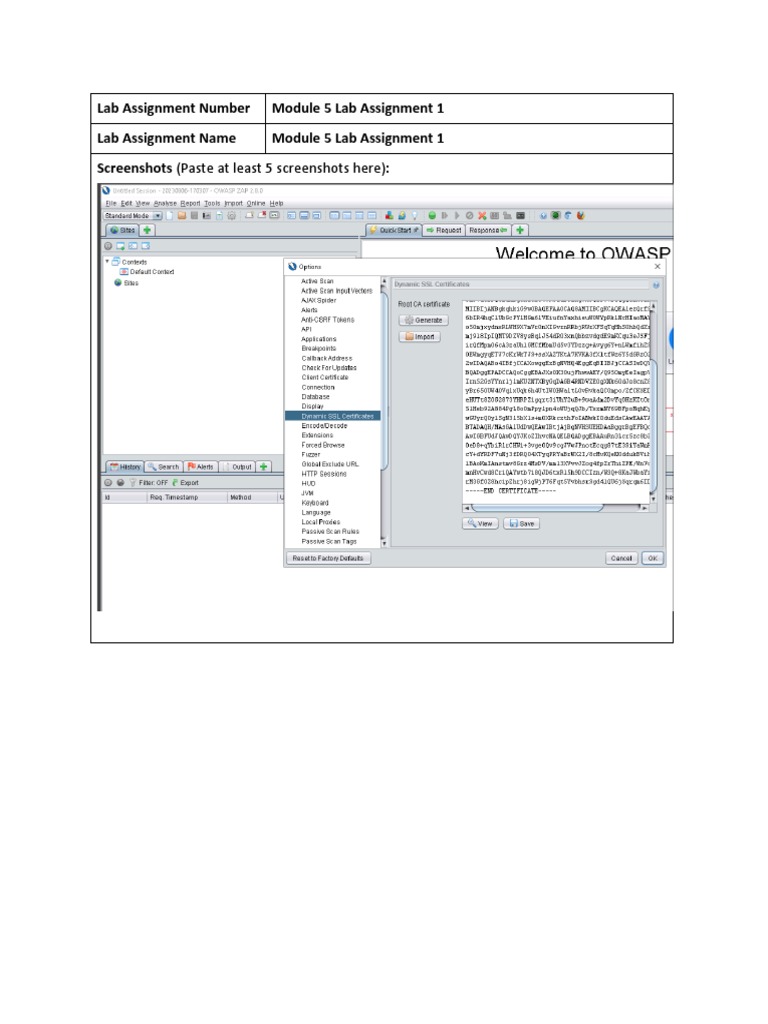 Lab Assignment Module 5 Lab 1 | PDF