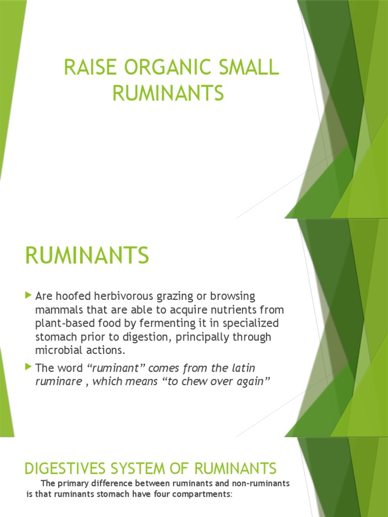 Raise Organic Small Ruminants | PDF
