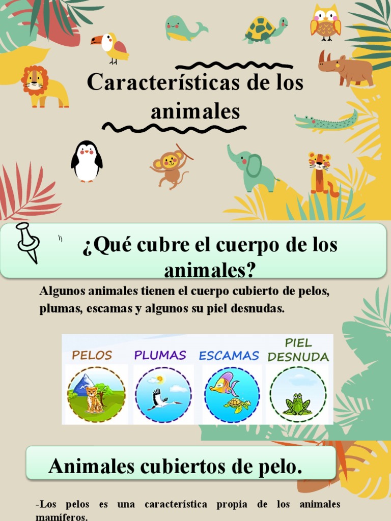 Características de Los Animales | PDF | Aves | Pluma