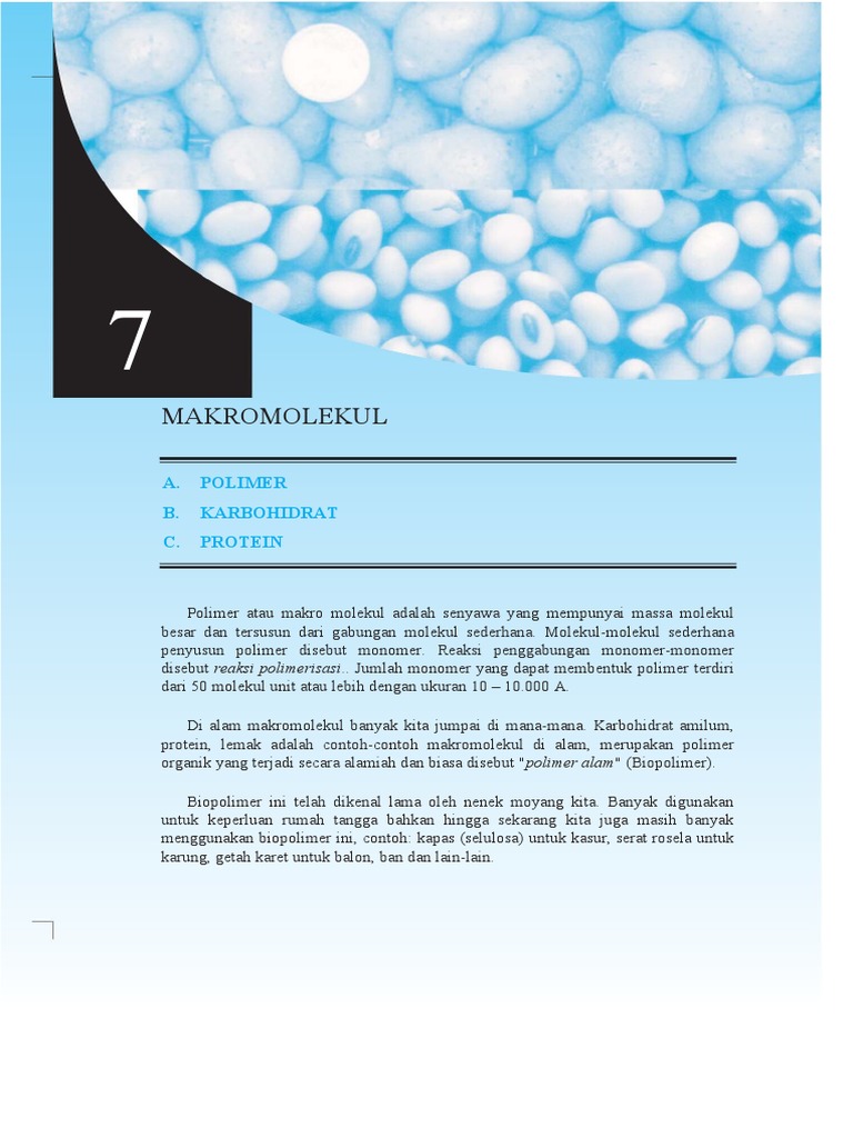 Makromolekul | PDF