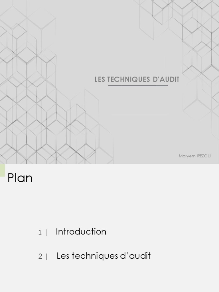 Techniques d'Audit Efficaces | PDF | Audit | Échantillonnage (Statistiques)