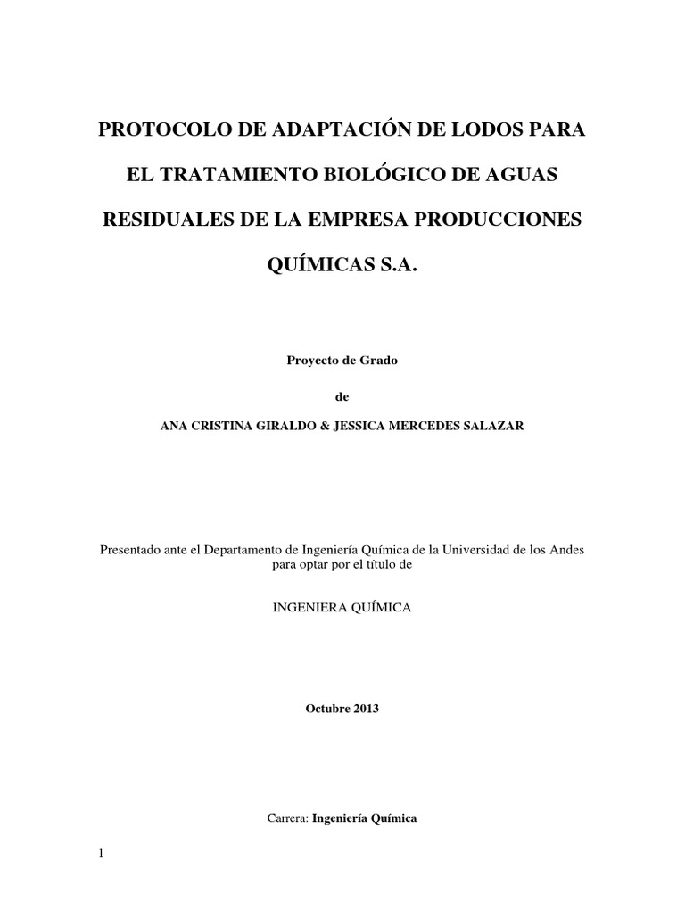 Disminuion de Tamaños de Floc Pinpoint Floc | PDF | Aguas residuales | Agua