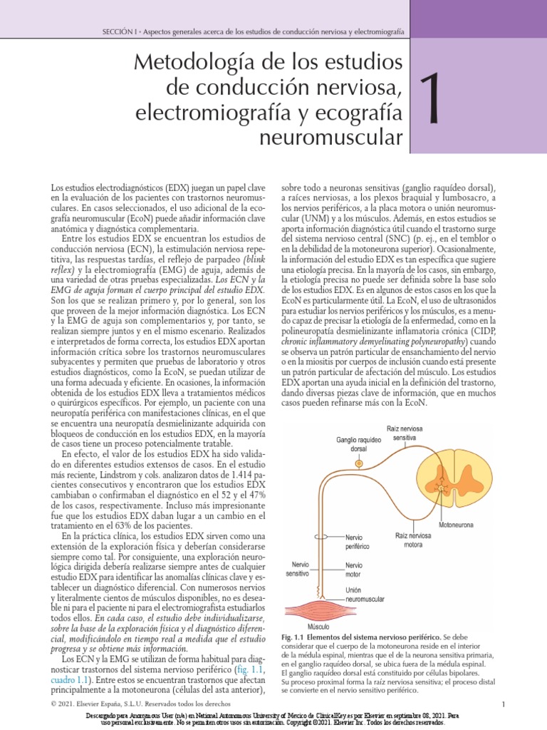001 Metodología de Los Estudios de Conducción Nerviosa, Electromiografía y Ecografía ...