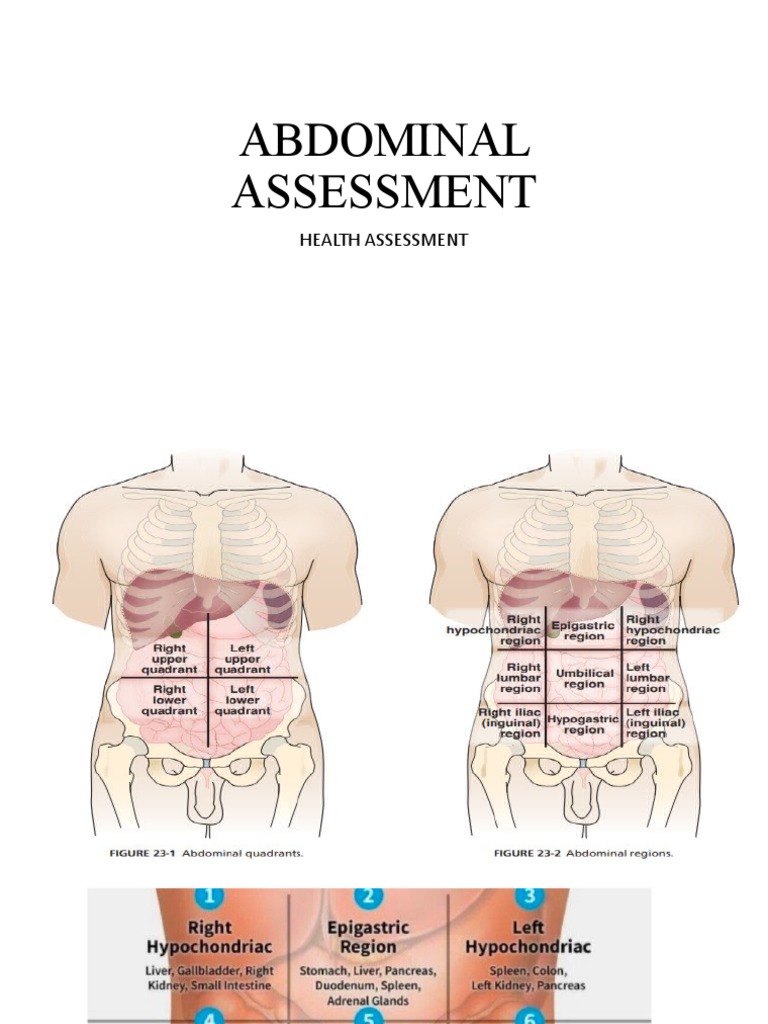 Abdominal Assessment | PDF