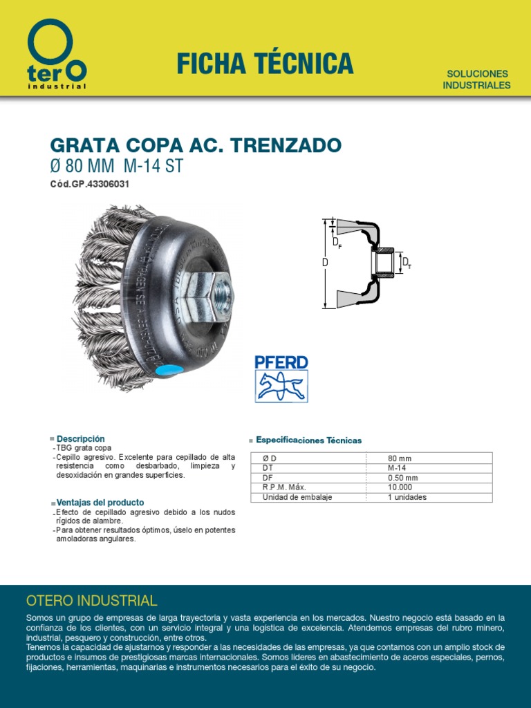 GP.43306031-GRATA-Copa | PDF