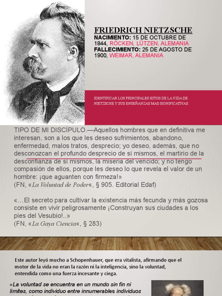 Nietzsche | PDF | Friedrich Nietzsche | Arthur Schopenhauer