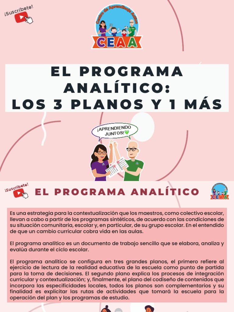 (Resumen) PROGRAMA ANALÍTICO | PDF