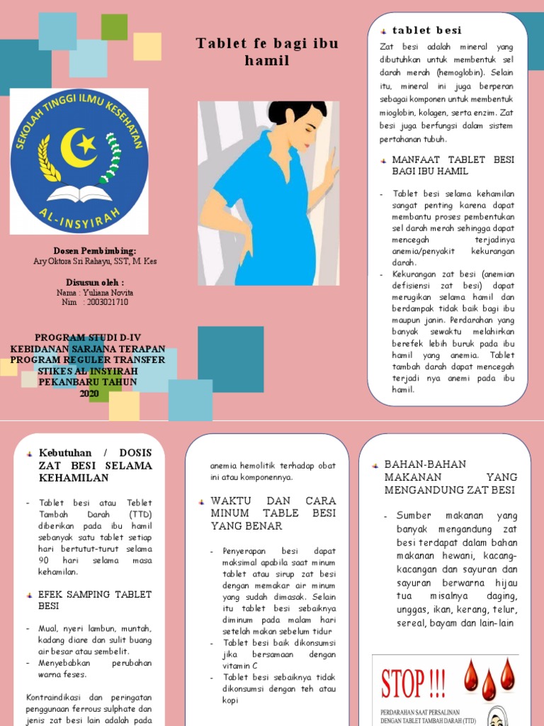 Leaflet Tablet Tambah Darah | PDF
