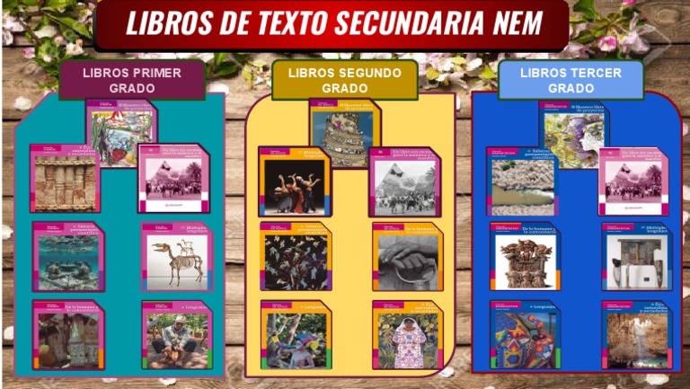 Libros de Texto Secundaria Nem | PDF