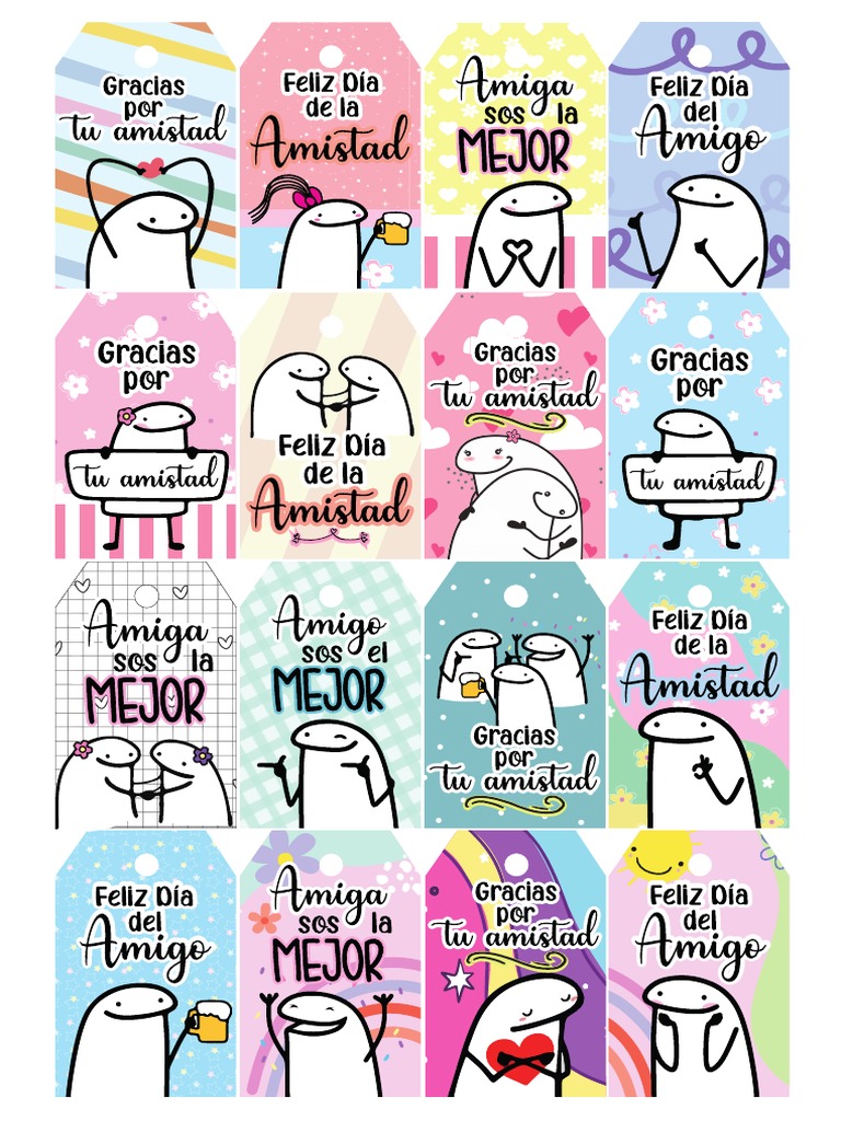 Flork DD Amigo | PDF