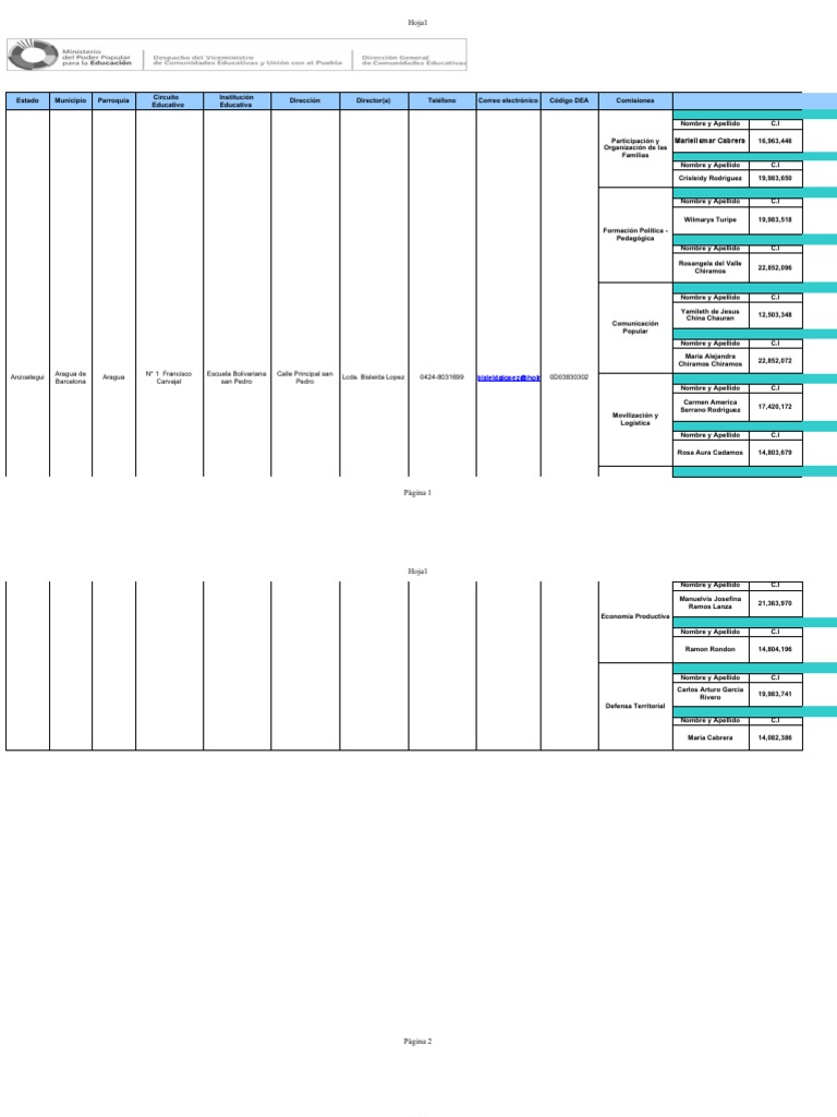 Cuadro para Registro de Vocerias Institucionales Del MBF | PDF
