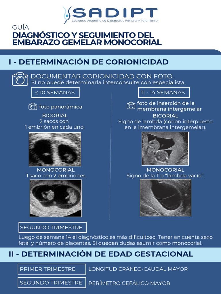 Guia Gemelar Monocorial | PDF | El embarazo | Feto