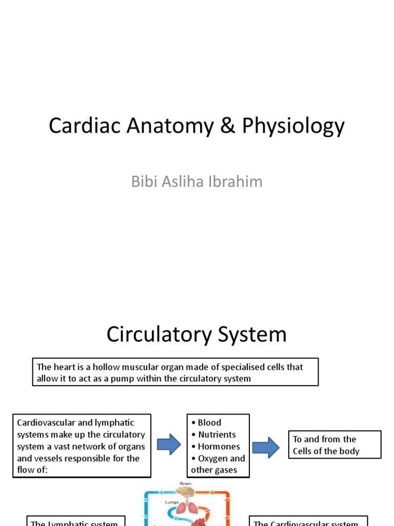 Understanding Cardiac Anatomy & Function | PDF